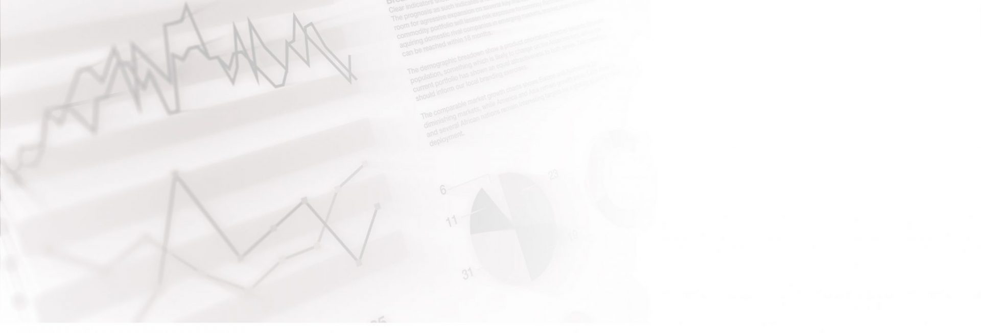 fundo-slides2 – World Management Survey